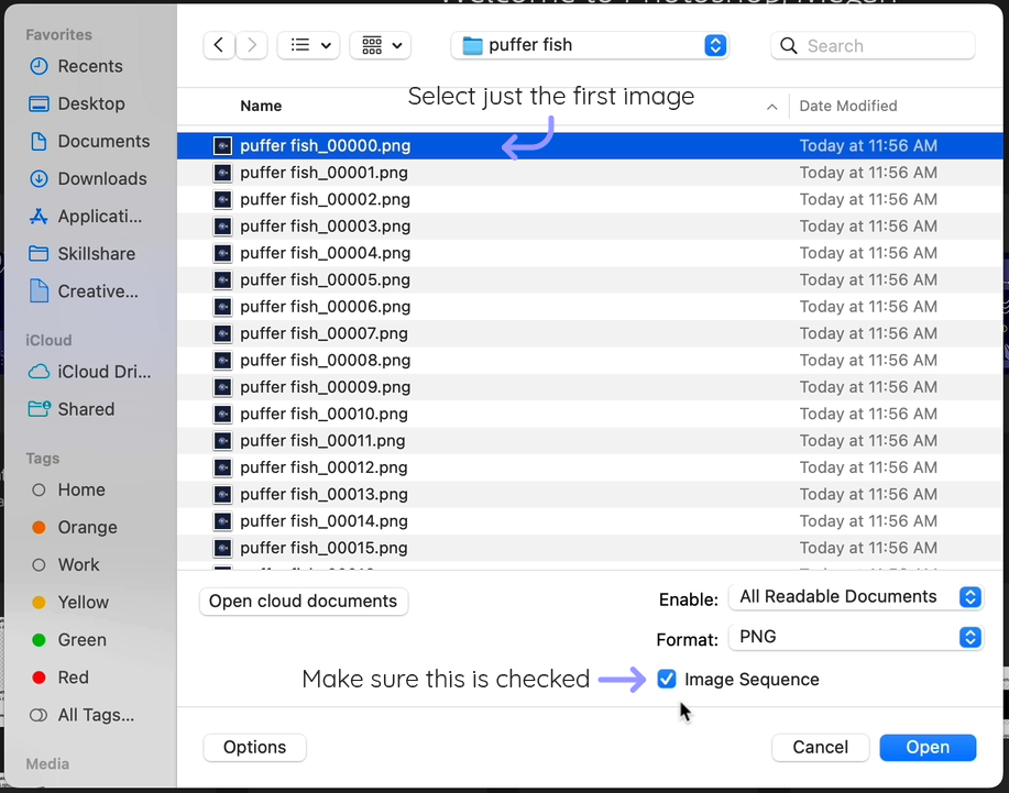 AE Fundamentals: Render a GIF